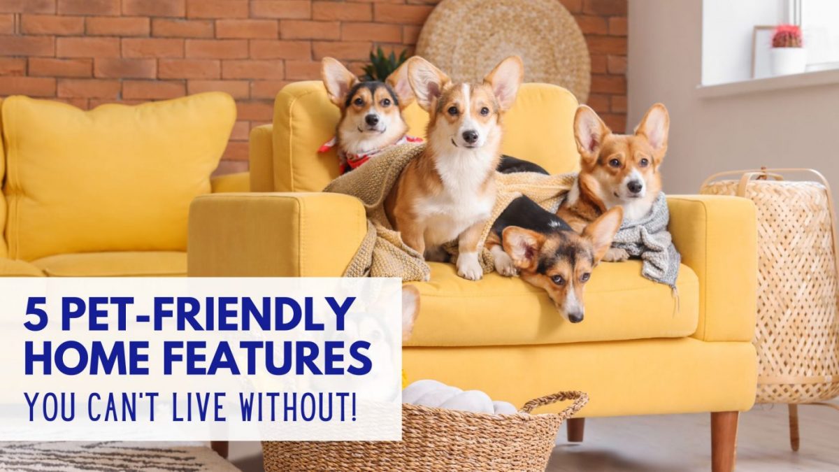 5 Pet-Friendly Home Features You Can’t Live Without
