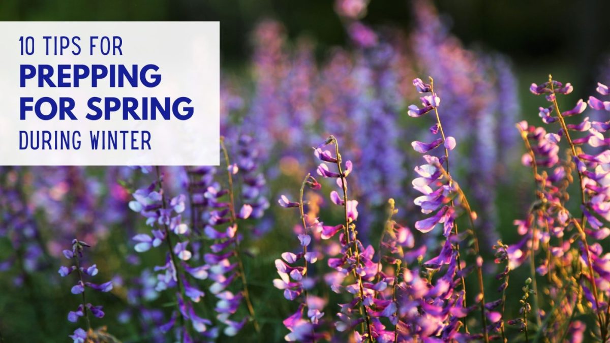 10 Tips to Prepare for Spring During Winter - Home & Garden