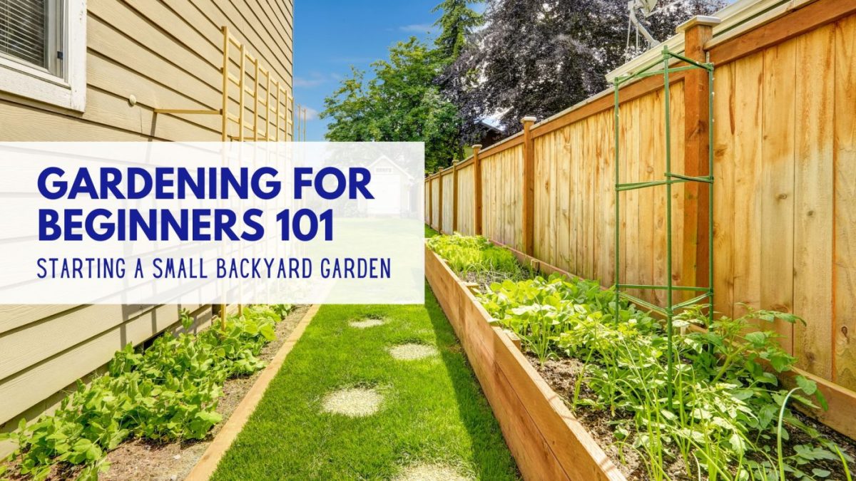 Gardening for Beginners 101 - Starting A Backyard Garden