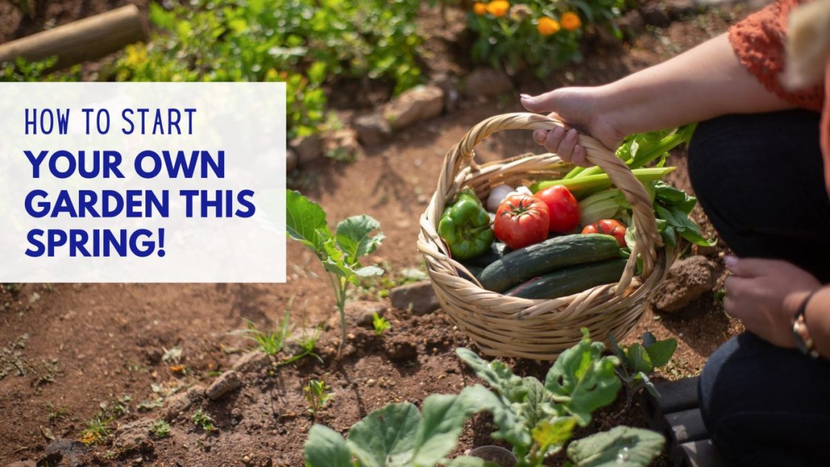 How To Start Your Own Garden