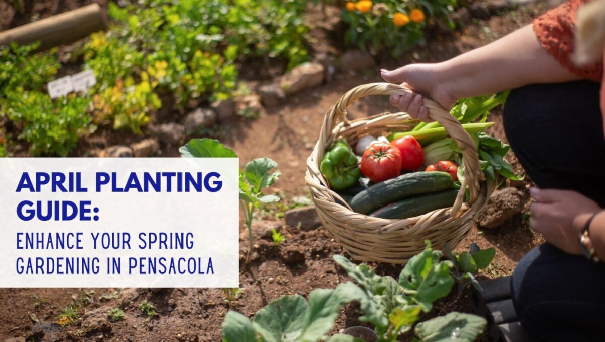 April Planting Guide: Enhance Spring Gardening in Pensacola